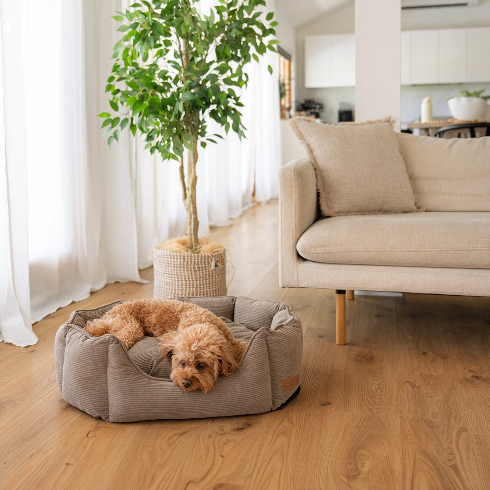 CADoS Plush Corded Velveteen Padded Basket Eco Bed Dark Latte Brown Be